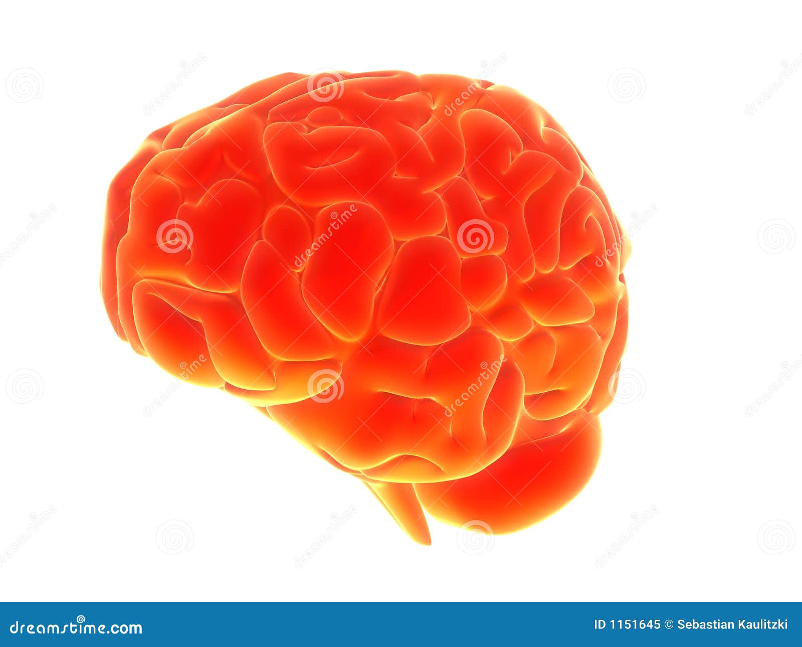 3d brain stock illustration. Illustration of genius, psychology - 1151645