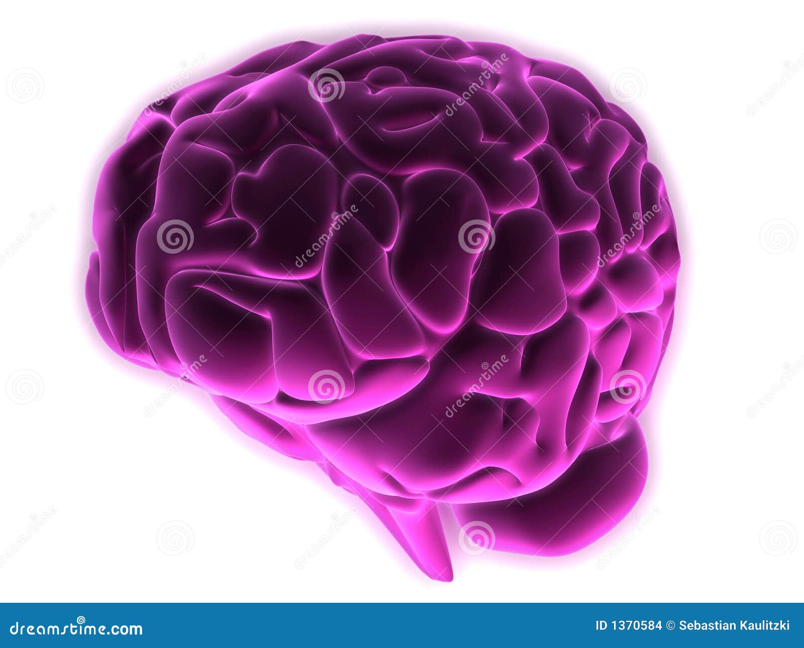3d brain stock illustration. Illustration of psychology - 1370584