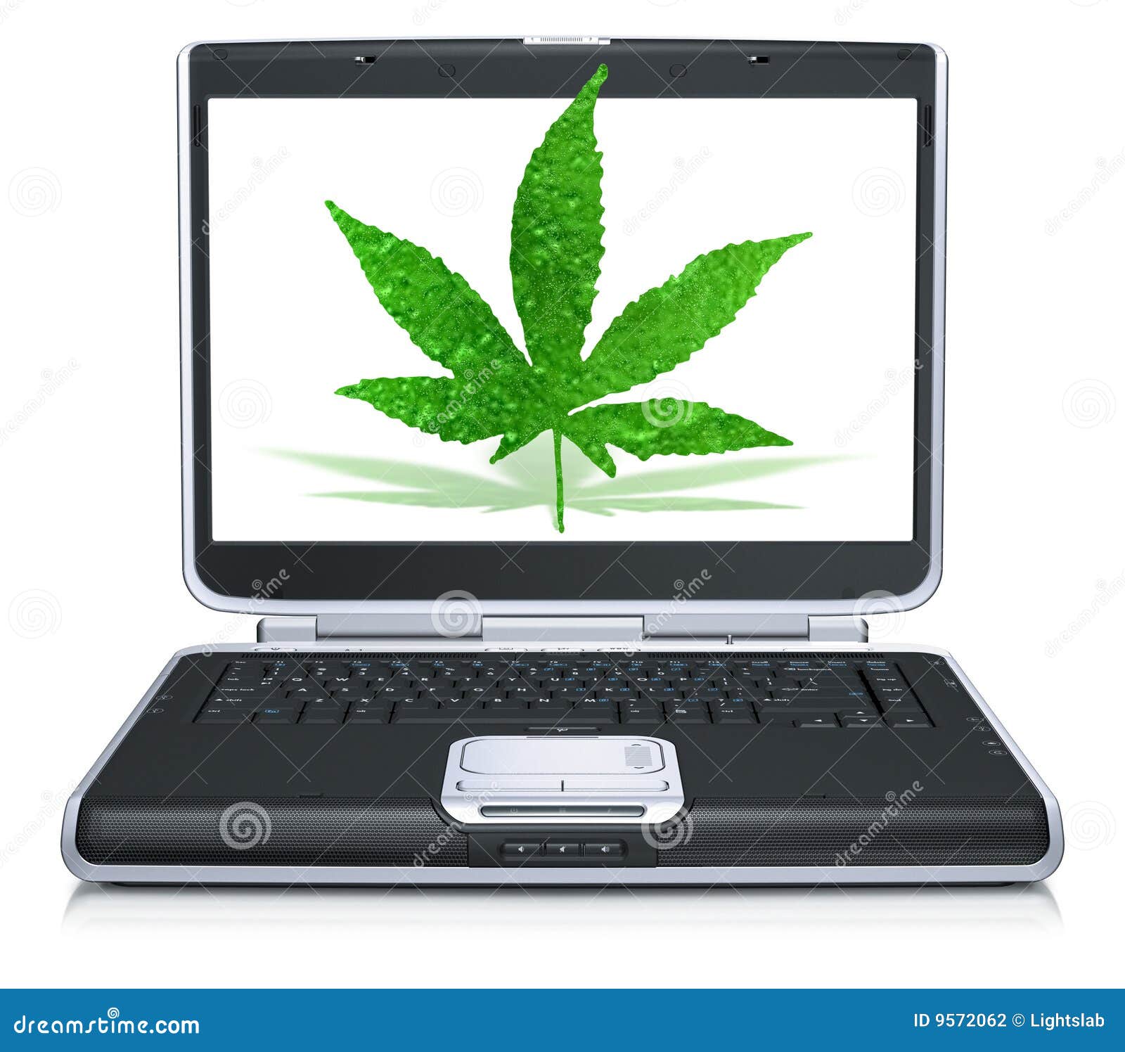 3D Canabis Leaf on Laptop Screen Isolated on White Stock Illustration ...