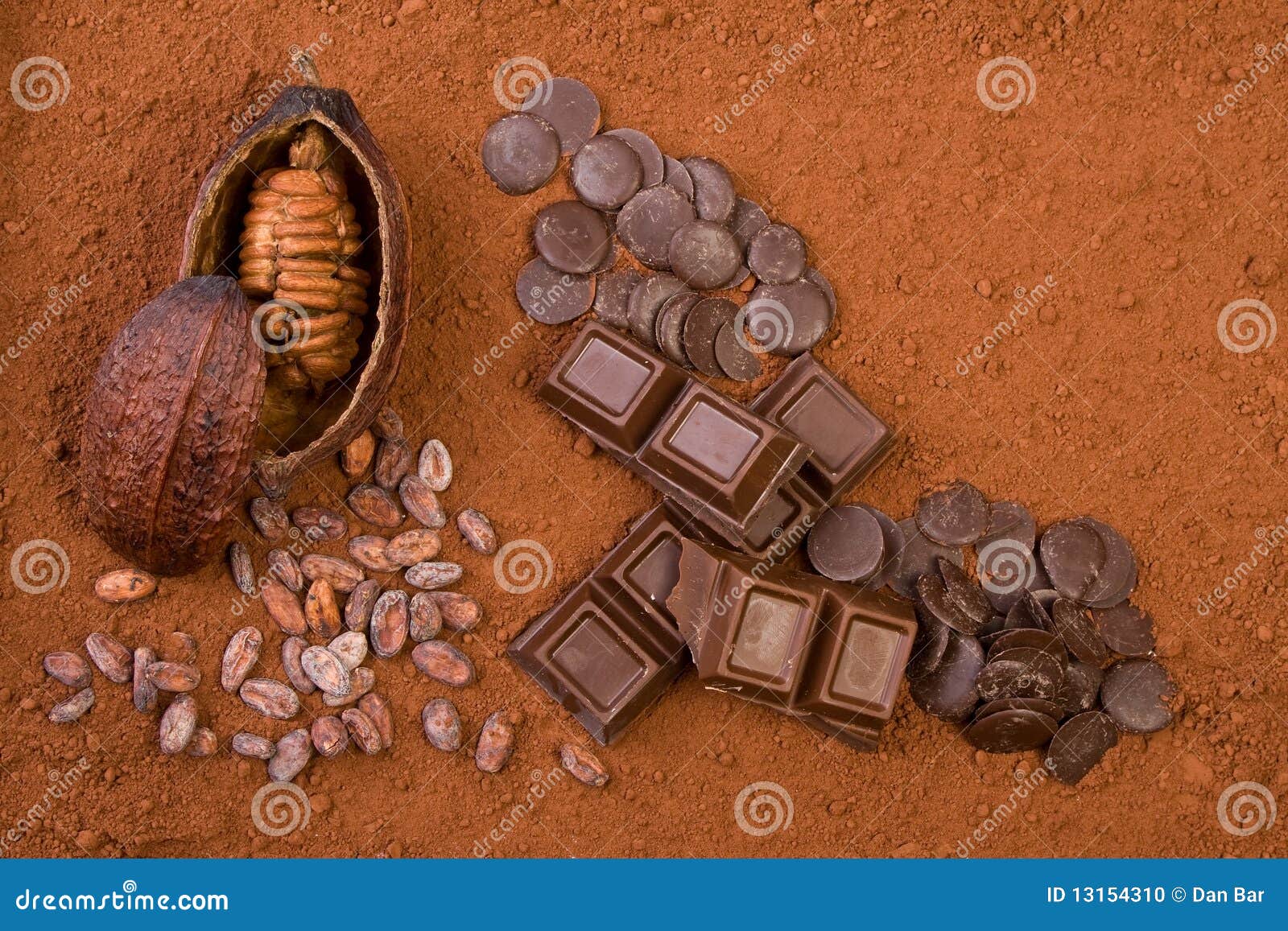 Cocoa Fruit In A Cocoa Plantation In Higuey (Punta Cana, Dominican ...