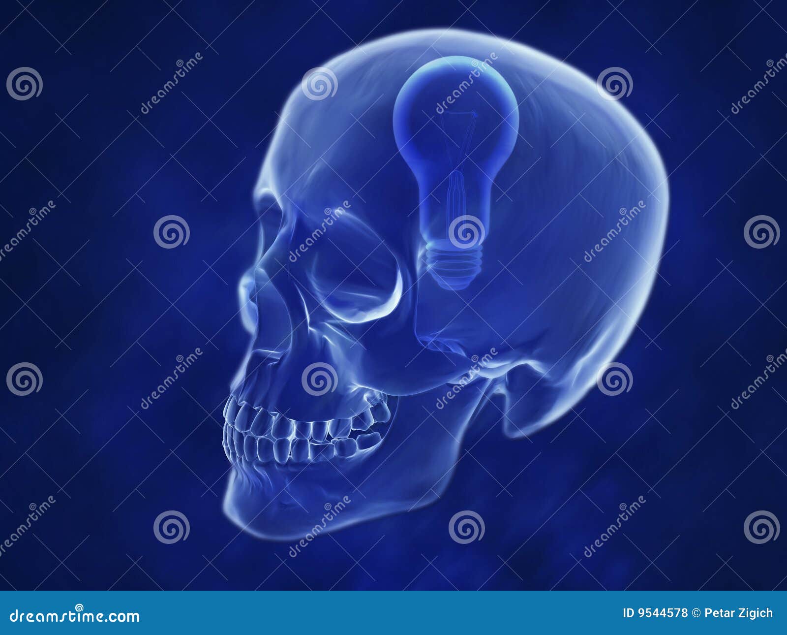 Human Scull 3d Rendering. Black Death`s-head On Orange Background ...