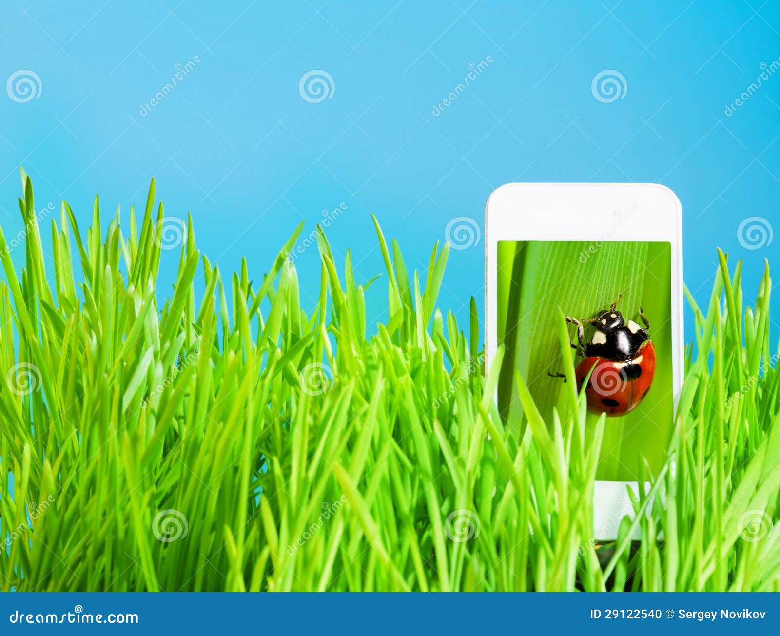 3d display on cell phone stock photo. Image of device - 29122540