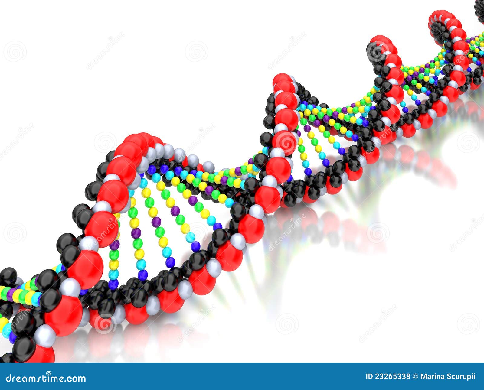 3d dna stock illustration. Illustration of graphic, biochemistry - 23265338