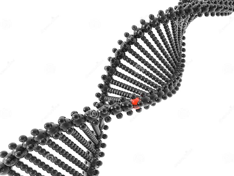 3D DNA model stock image. Image of cancer, chromosome - 2260749