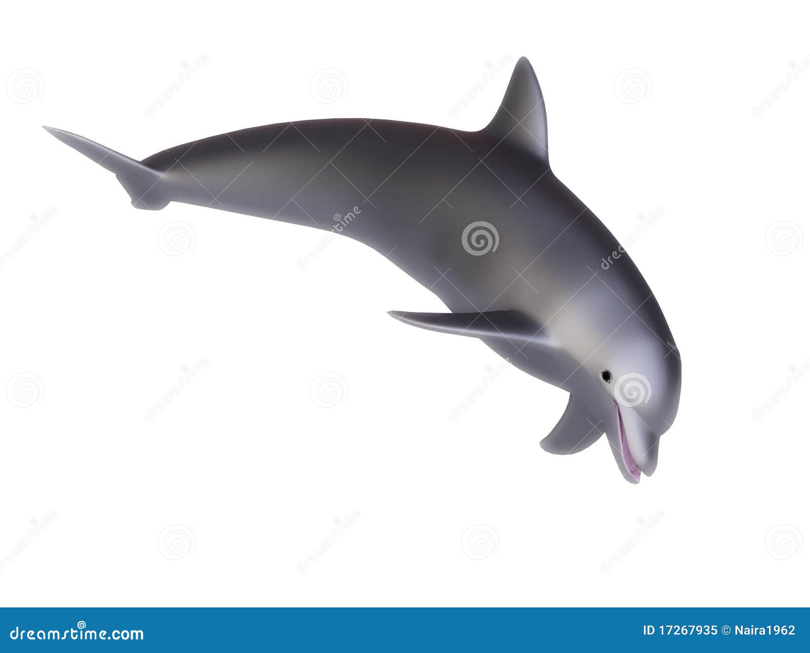 3D Dolphin stock illustration. Illustration of swim, nose - 17267935