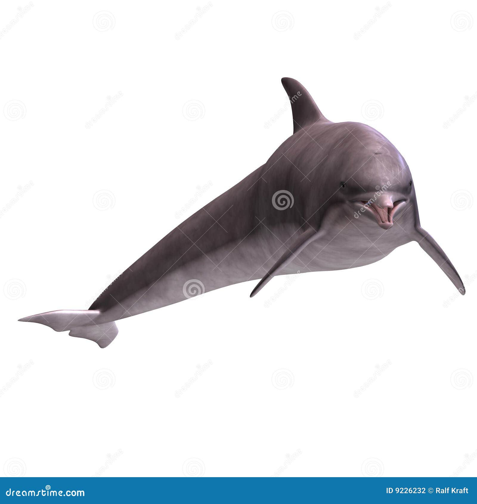 3D Dolphin stock illustration. Illustration of swimming - 9226232
