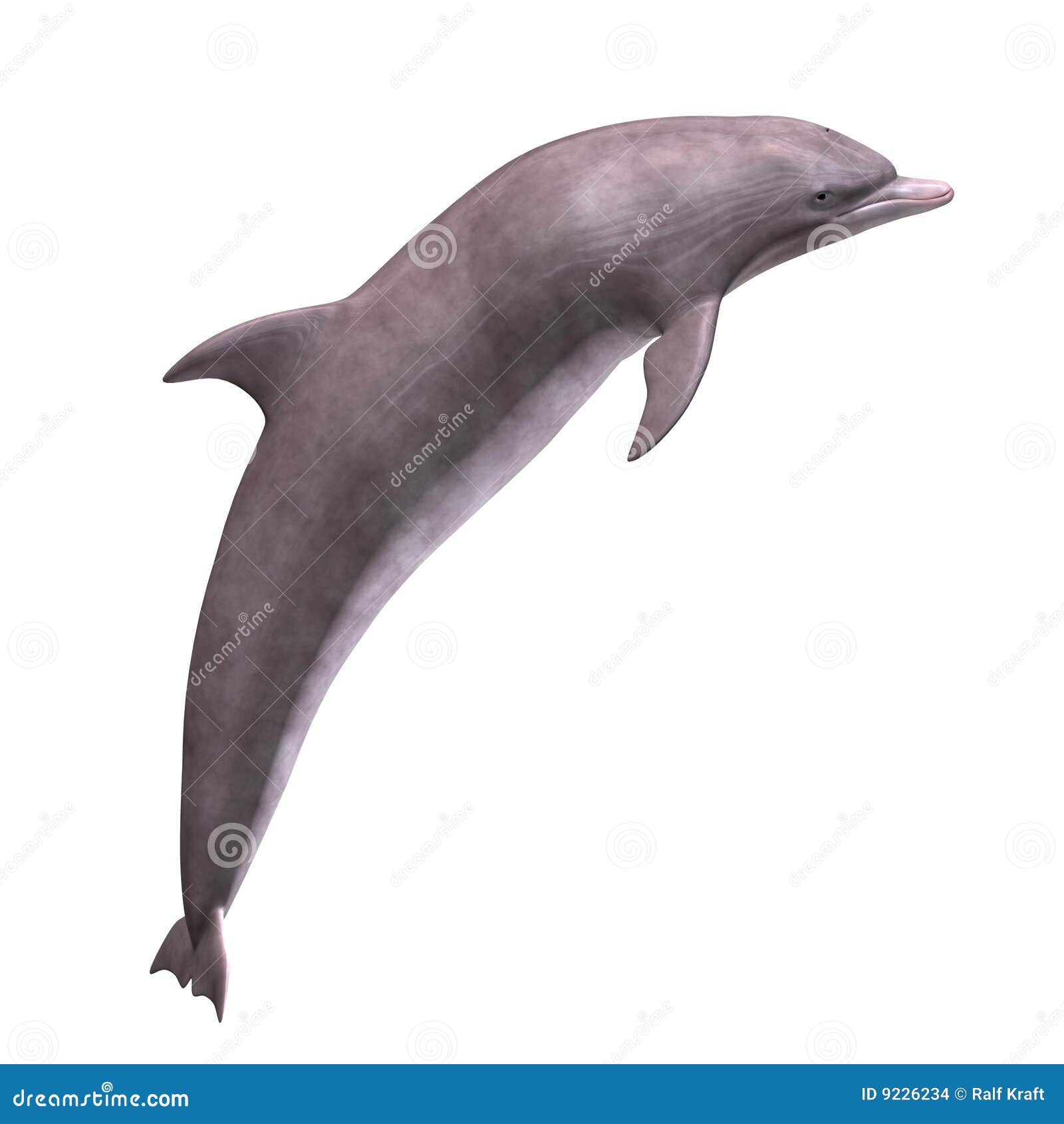 3D Dolphin stock illustration. Illustration of fish, pond - 9226234
