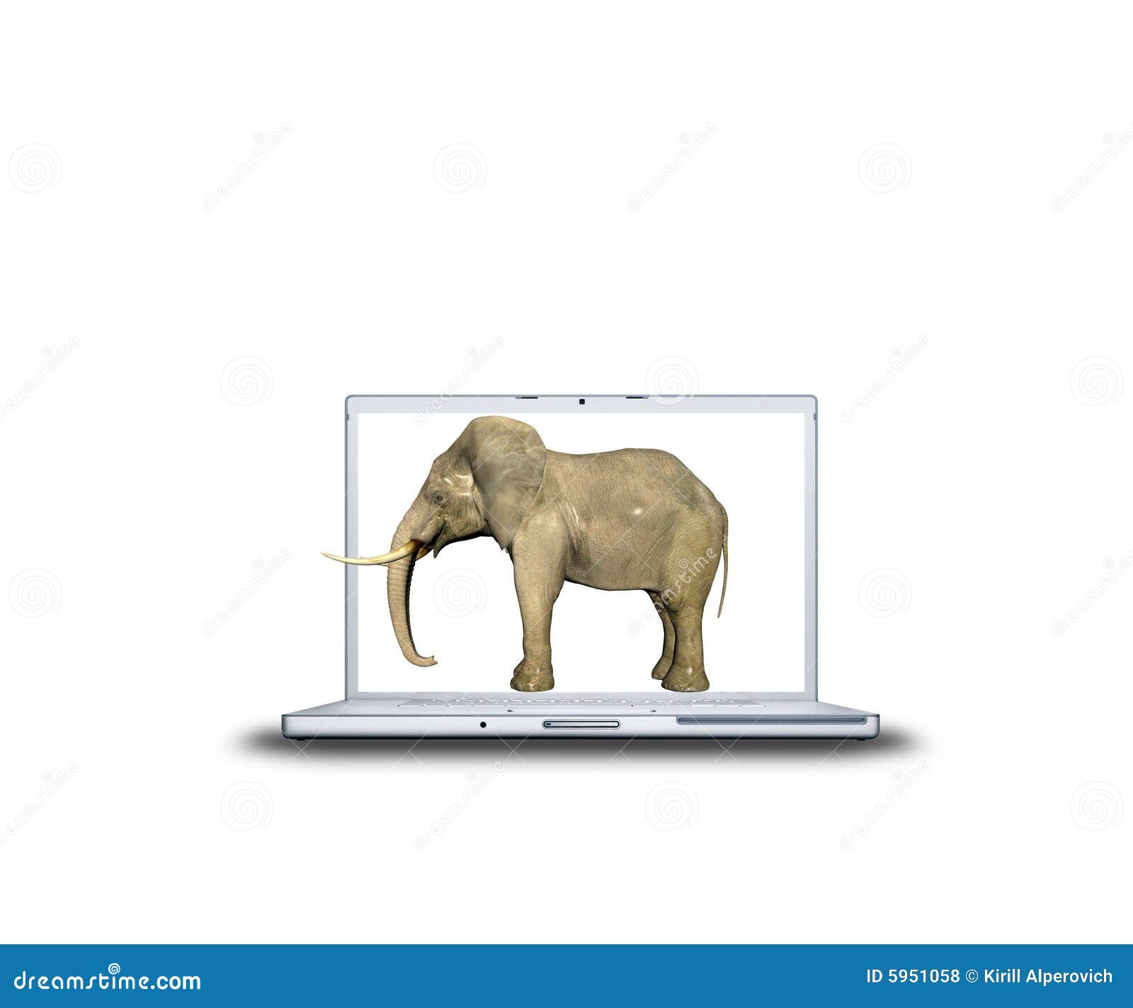 3D elephant on laptop stock illustration. Illustration of object - 5951058