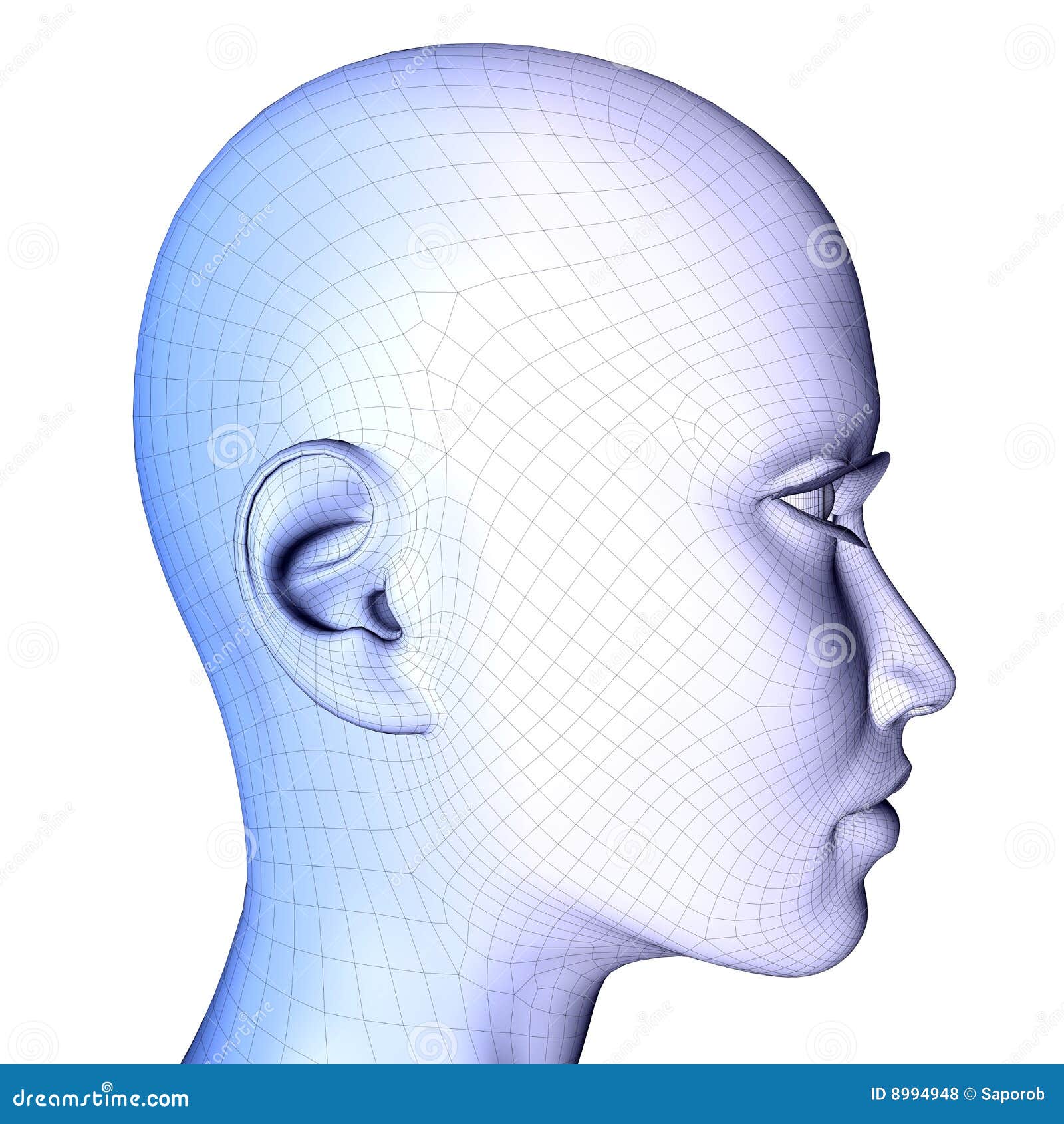 3d Female Face Wireframe Stock Illustrations – 529 3d Female Face ...