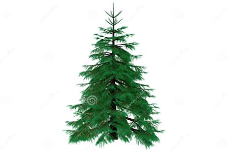 3d Fir Tree Render Isolated Stock Illustration - Illustration of ...