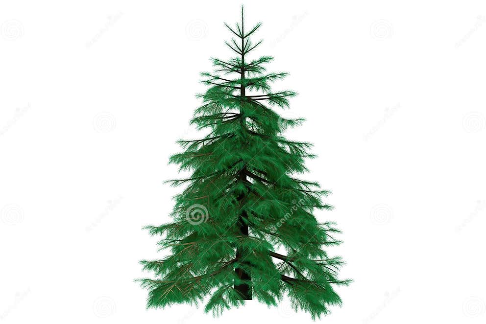 3d Fir Tree Render Isolated Stock Illustration - Illustration of ...