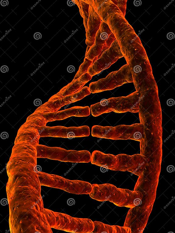 3d gene stock illustration. Illustration of chemistry - 4368773