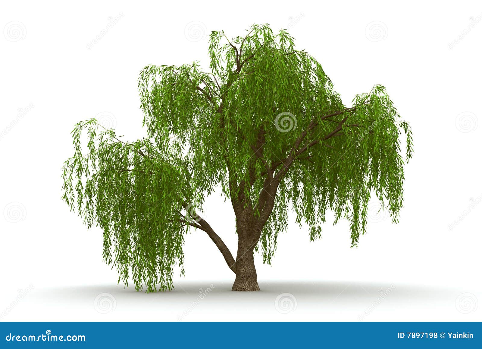 Willow Cartoons, Illustrations & Vector Stock Images - 12422 Pictures ...