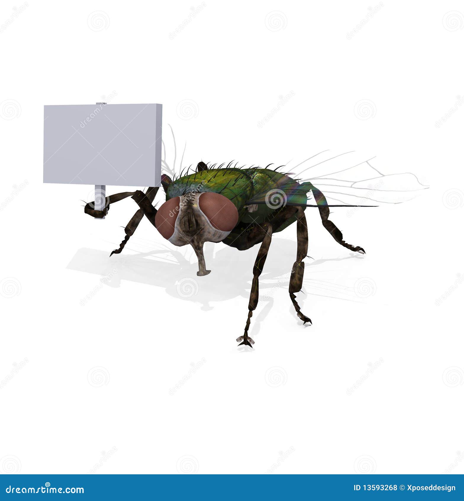 3d House Fly Holding Blank Sign Stock Illustration - Illustration of ...