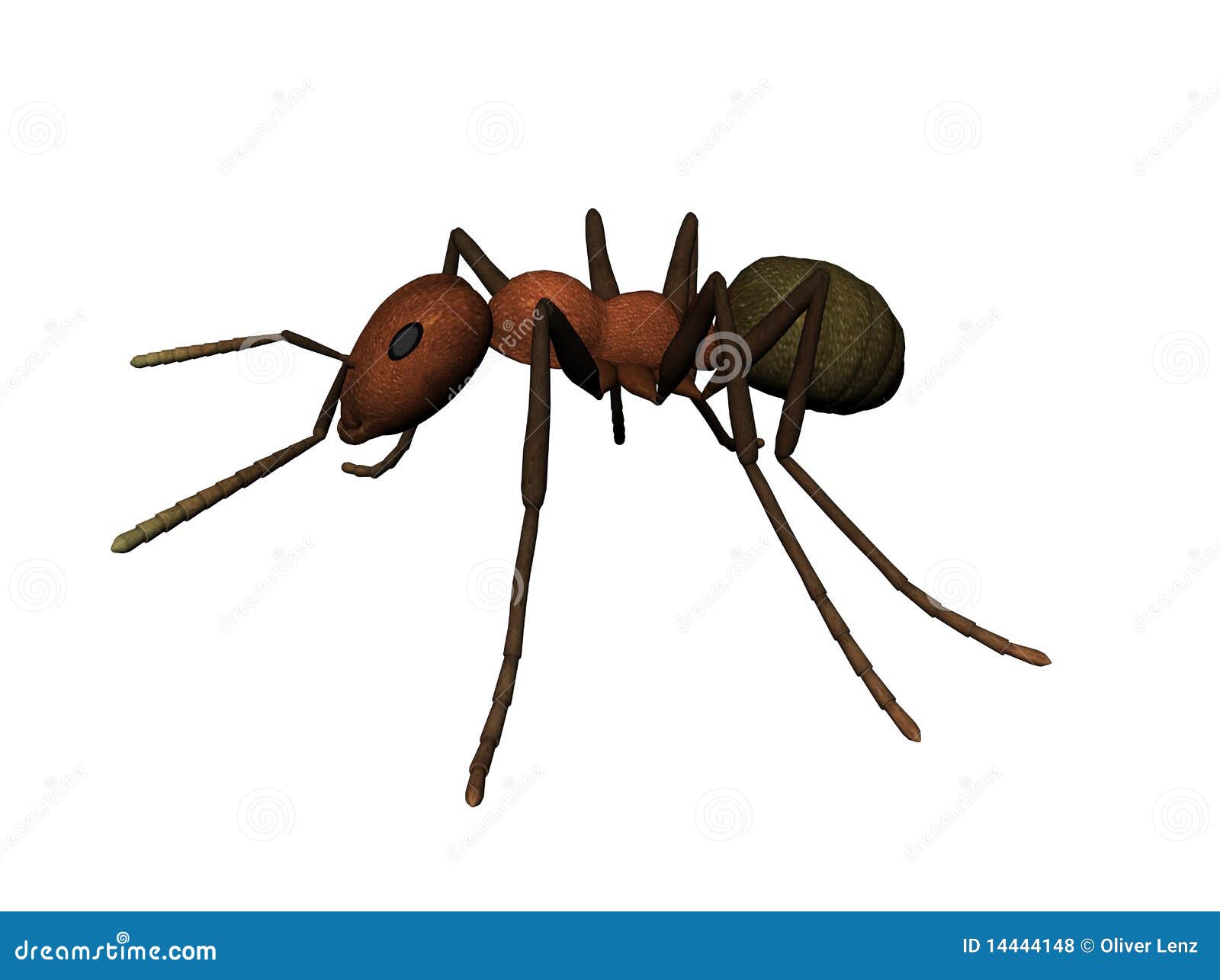 3D Illustratie Van Een Mier Stock Illustratie - Illustration of antenne ...