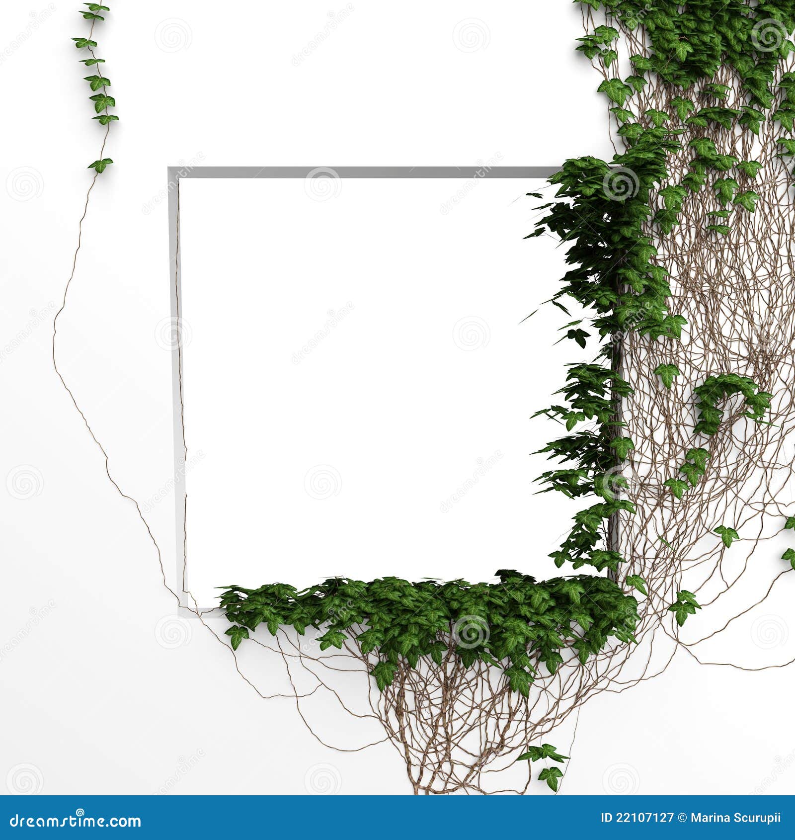 3d ivy frame stock illustration. Illustration of window - 22107127