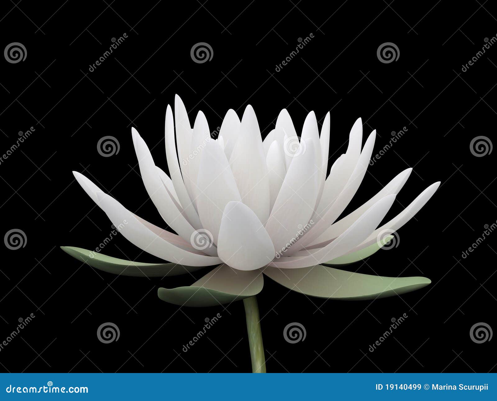 3d lotus stock illustration. Illustration of flora, lotus - 19140499