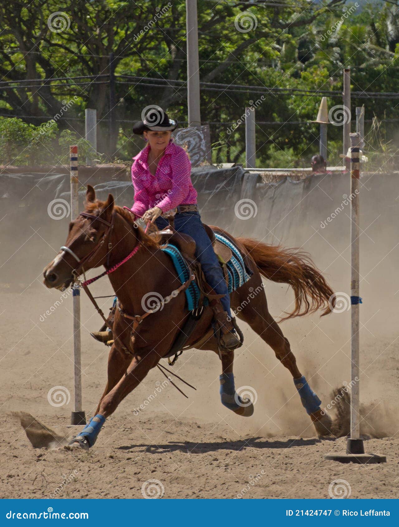 3D Pole Racing editorial photography. Image of leffanta - 21424747