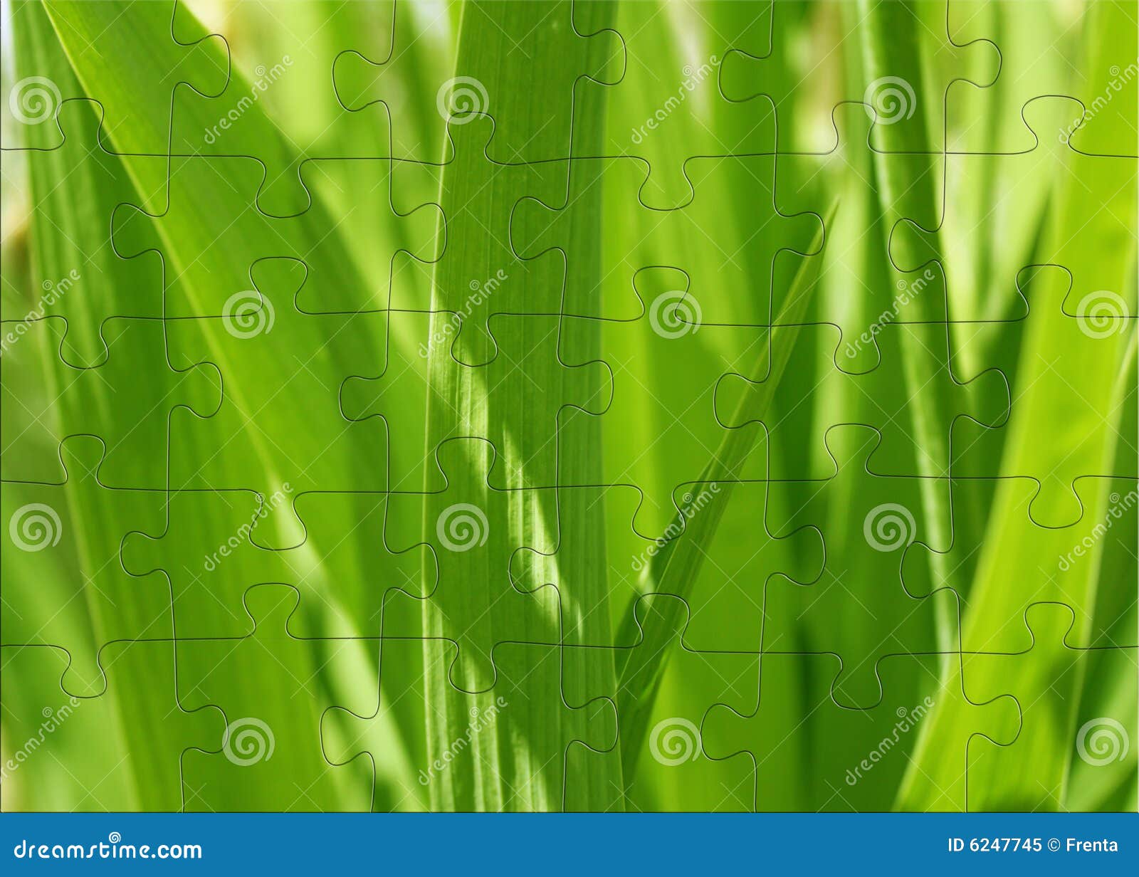 3d Puzzles with Image Spring Green Grass Stock Image - Image of area ...