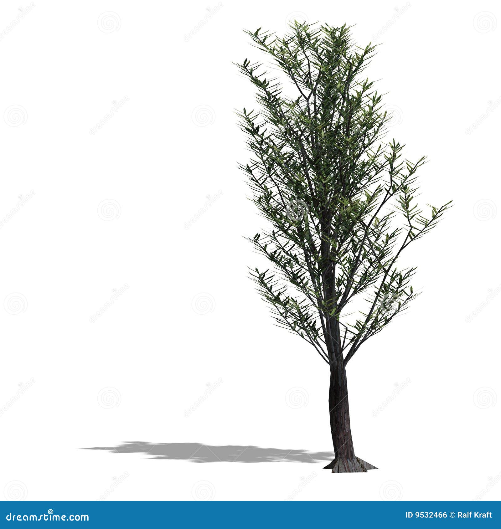 3D Render of a Broadleef Tree Stock Illustration - Illustration of ...