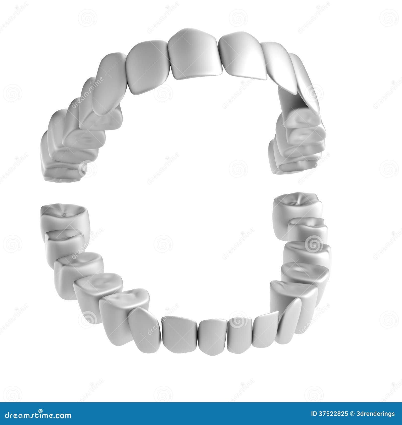 3d render of teeth stock illustration. Illustration of human - 37522825