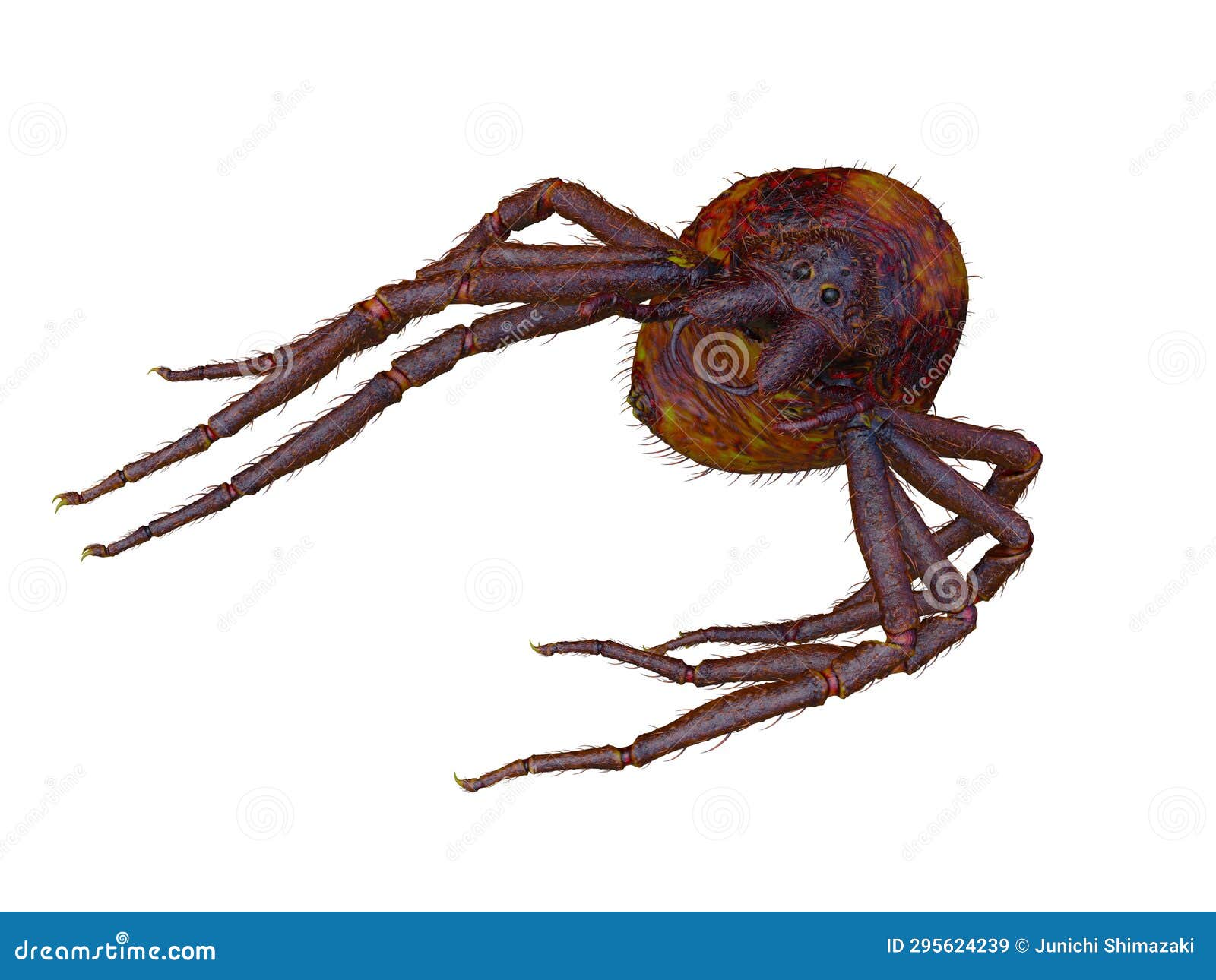 3D rendering of a spider stock illustration. Illustration of creature ...