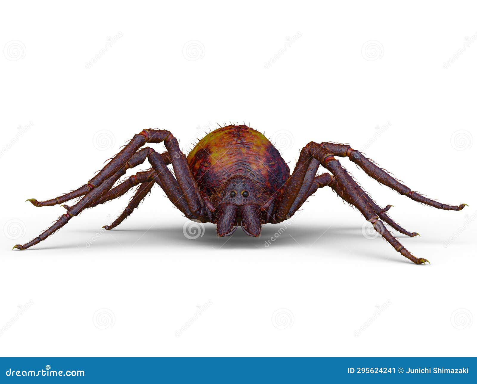 3D rendering of a spider stock illustration. Illustration of small ...