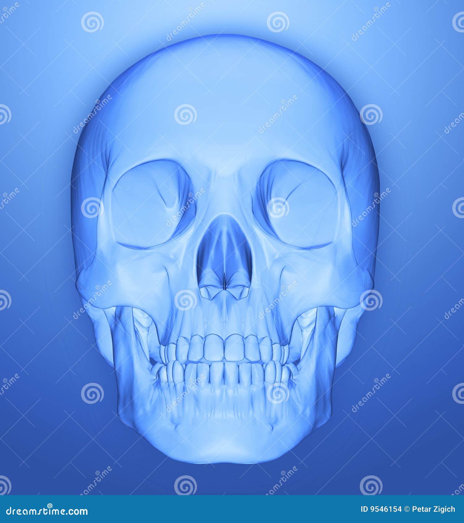 3d Scull stock illustratie. Illustration of begrip, hersenen - 9546154