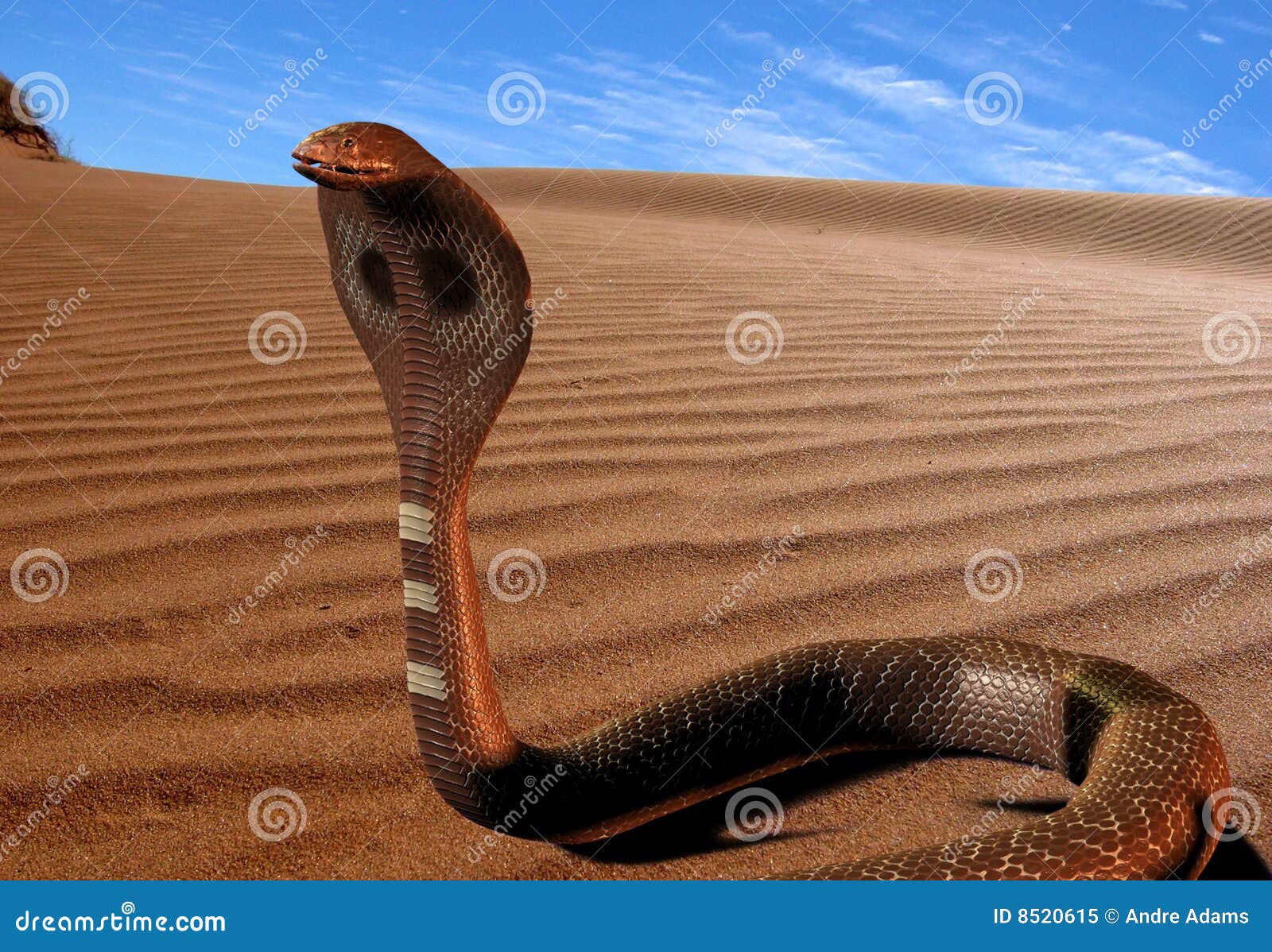 3D snake stock illustration. Illustration of snake, rattle - 8520615