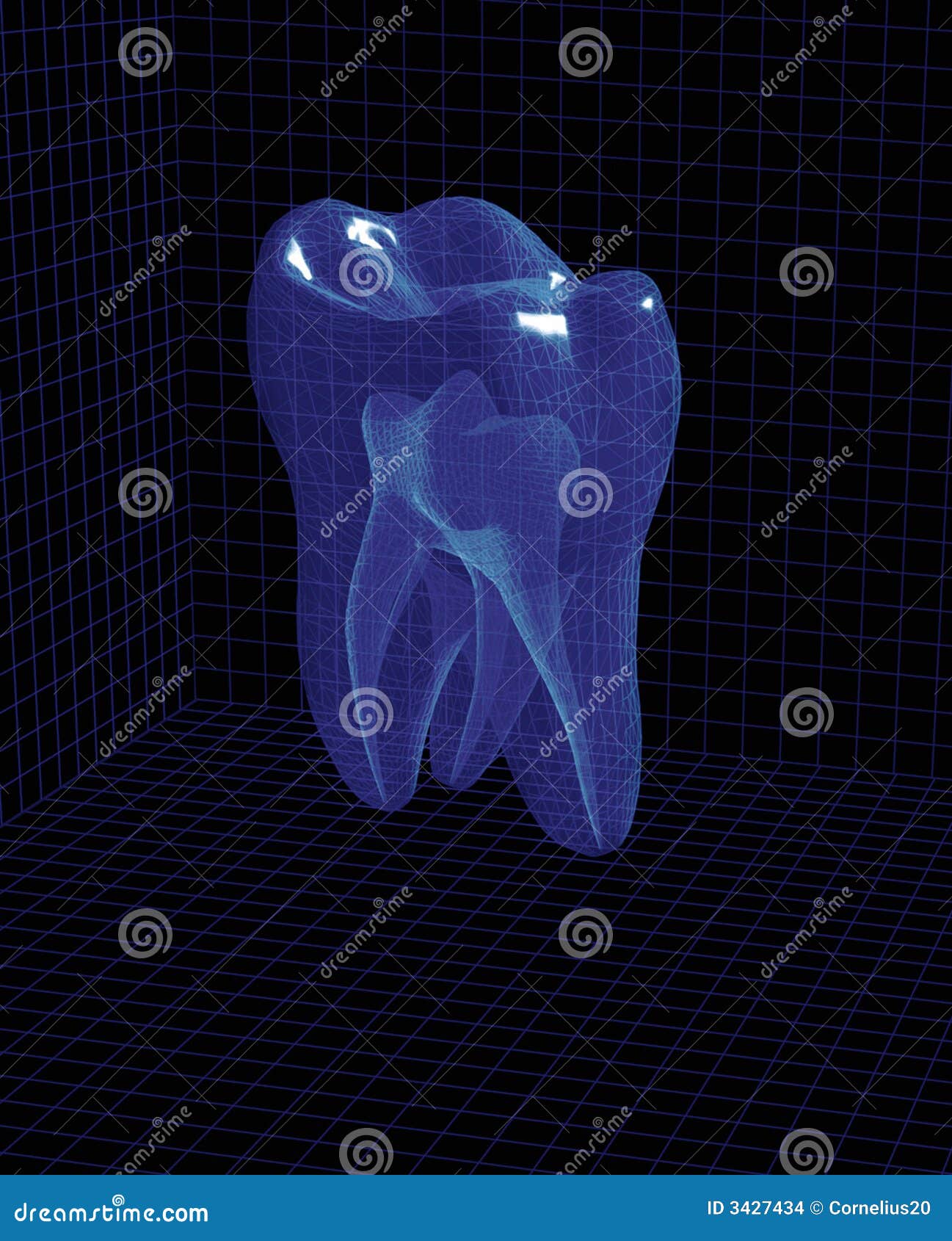 3d tooth stock photo. Image of health, dentistry, dental - 3427434