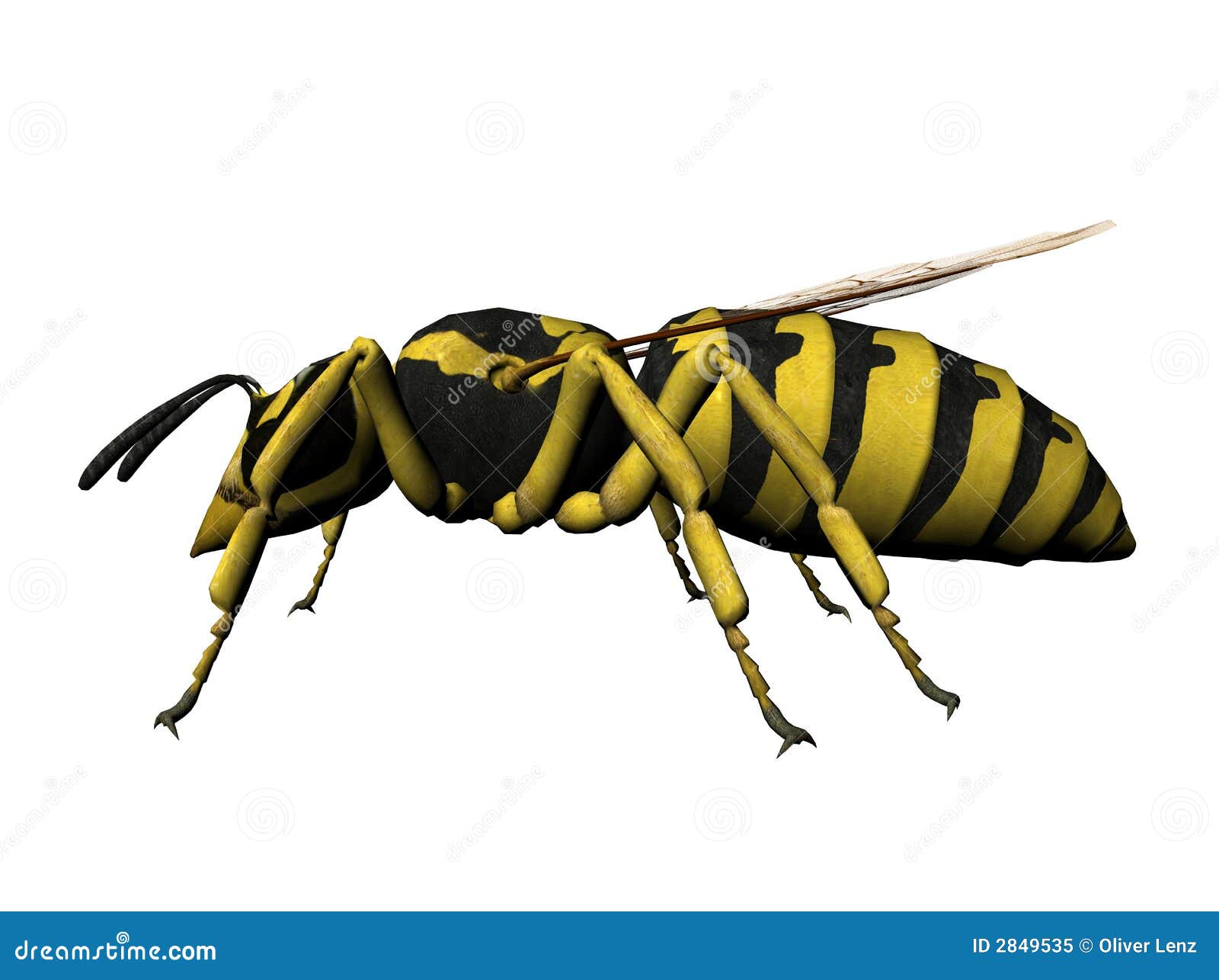 3D wesp stock illustratie. Illustration of geïsoleerd - 2849535