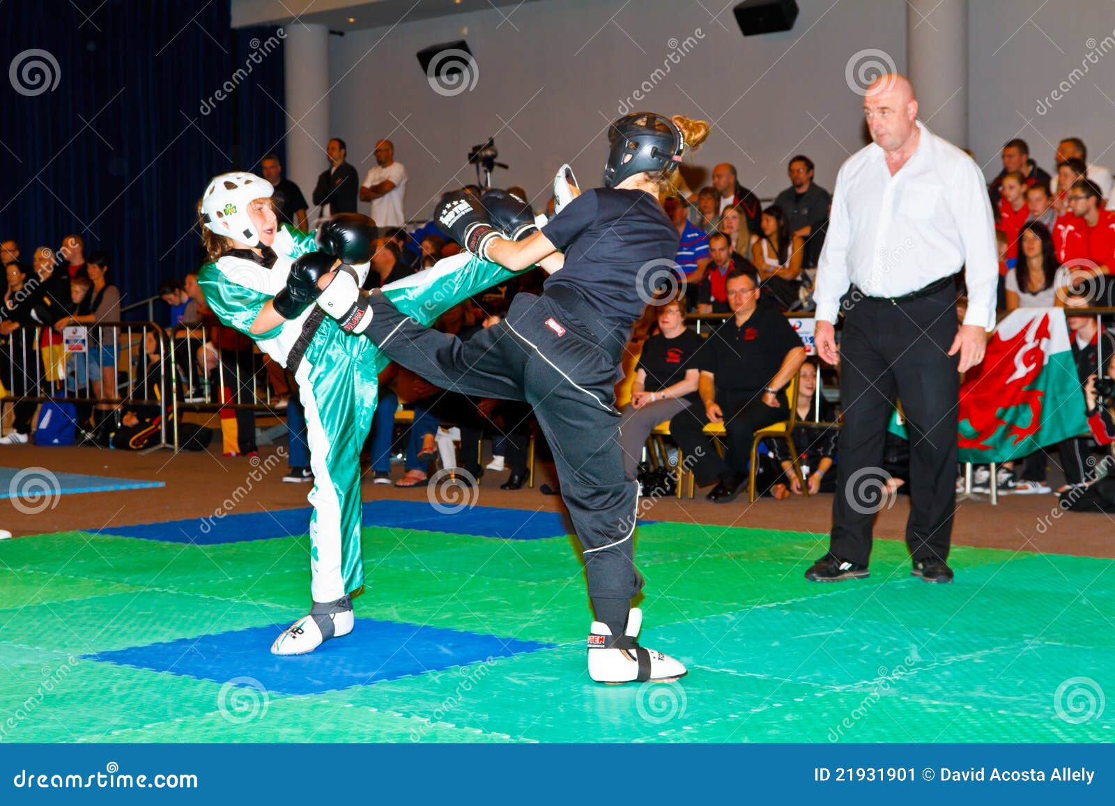 3rd World Kickboxing Championship 2011 Editorial Photo - Image of ...