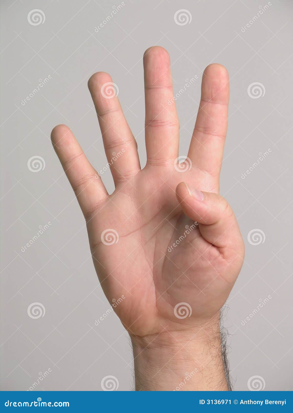 4 dedos - 4 imagem de stock. Imagem de médio, palma, quantidade - 3136971