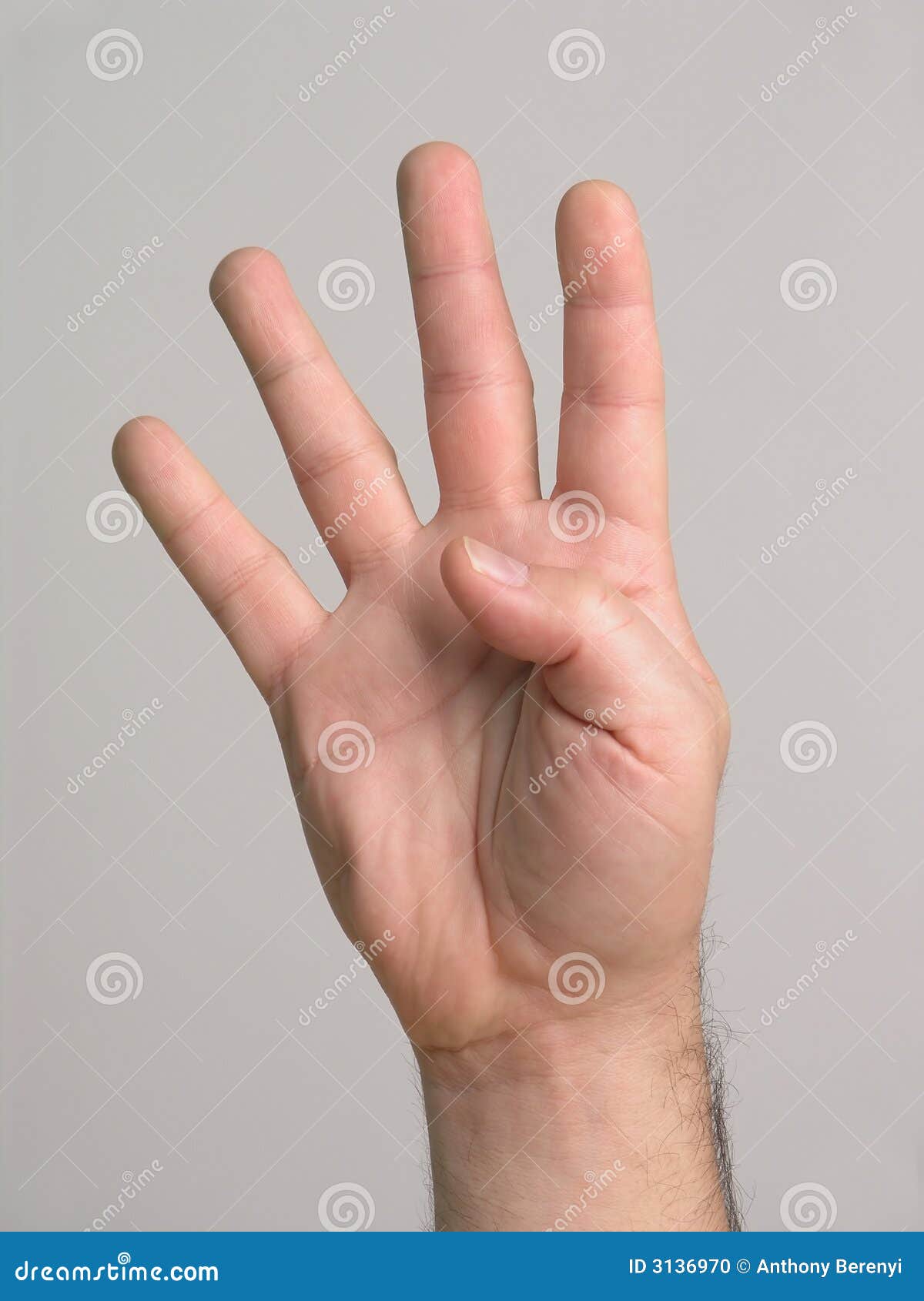 4 doigts - 3 photo stock. Image du quantité, quatre, masculin - 3136970