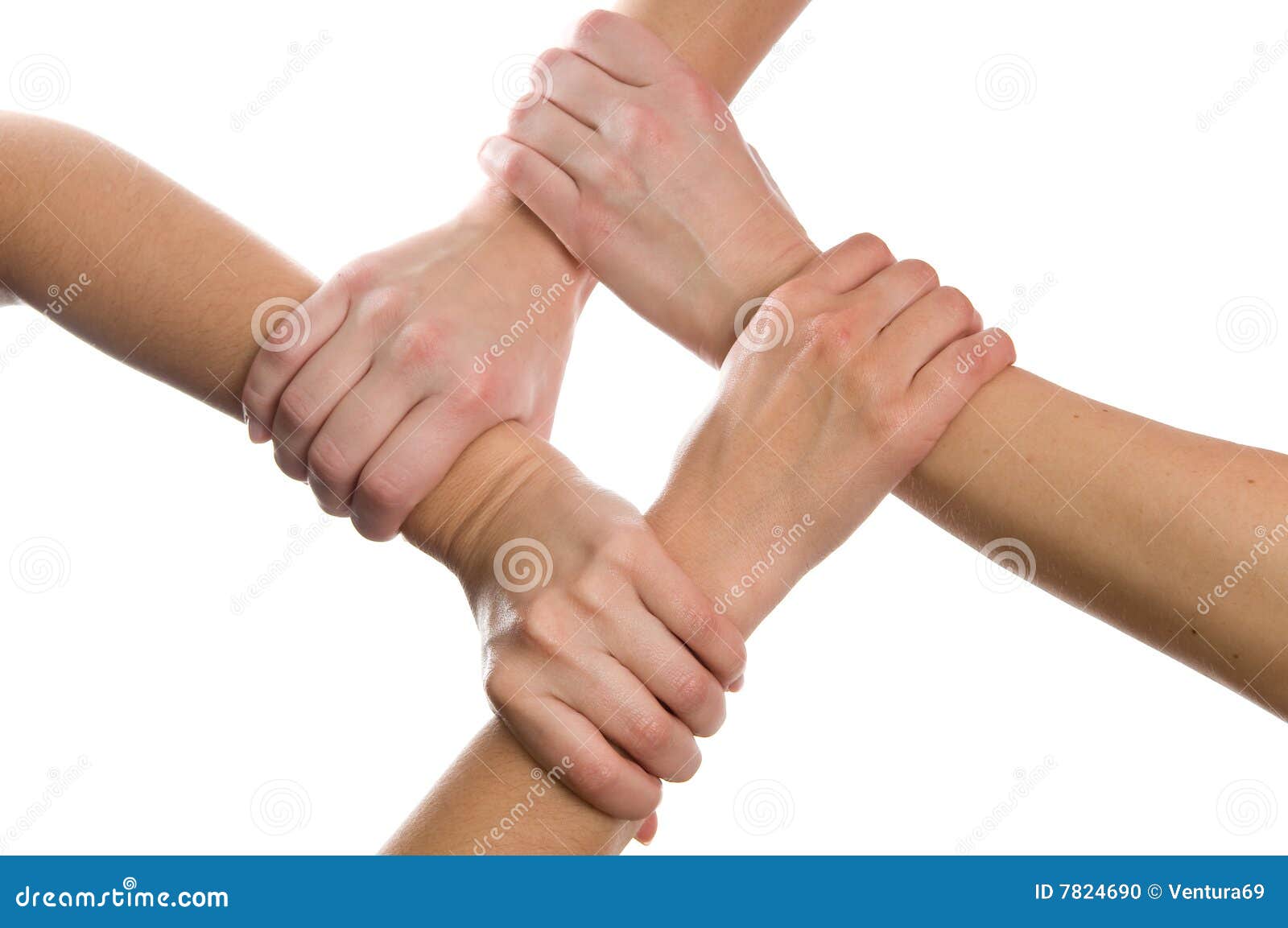 4 manos conectadas foto de archivo. Imagen de grupo, negocios - 7824690
