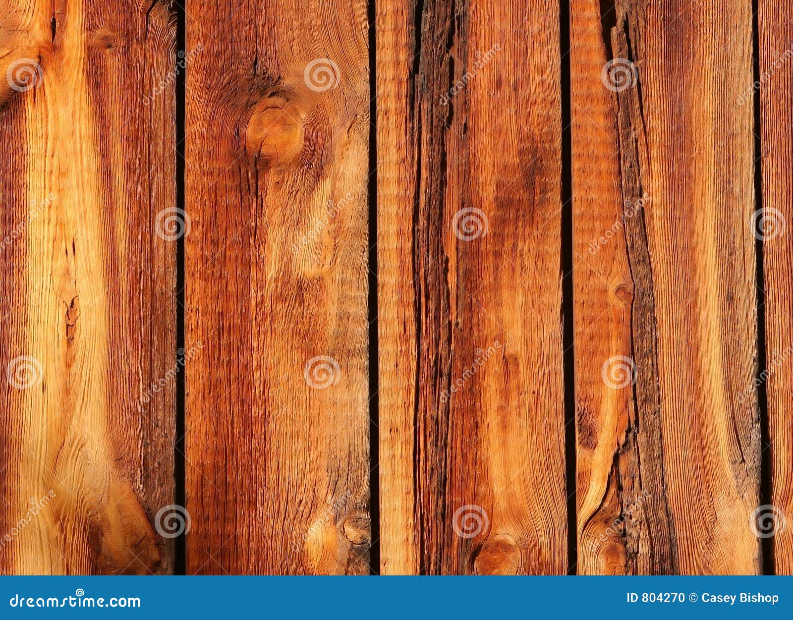 4 planks stock photo. Image of weathered, siding, cabin - 804270