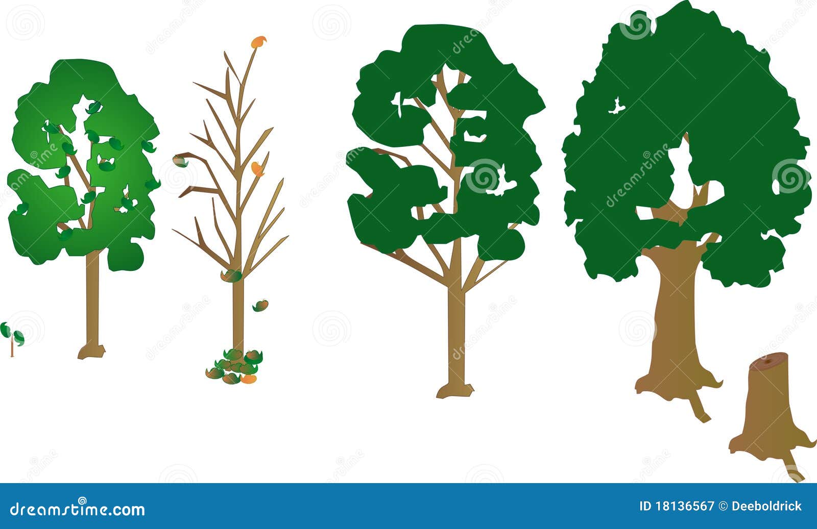 Sapling Cartoon Vector | CartoonDealer.com #30362375