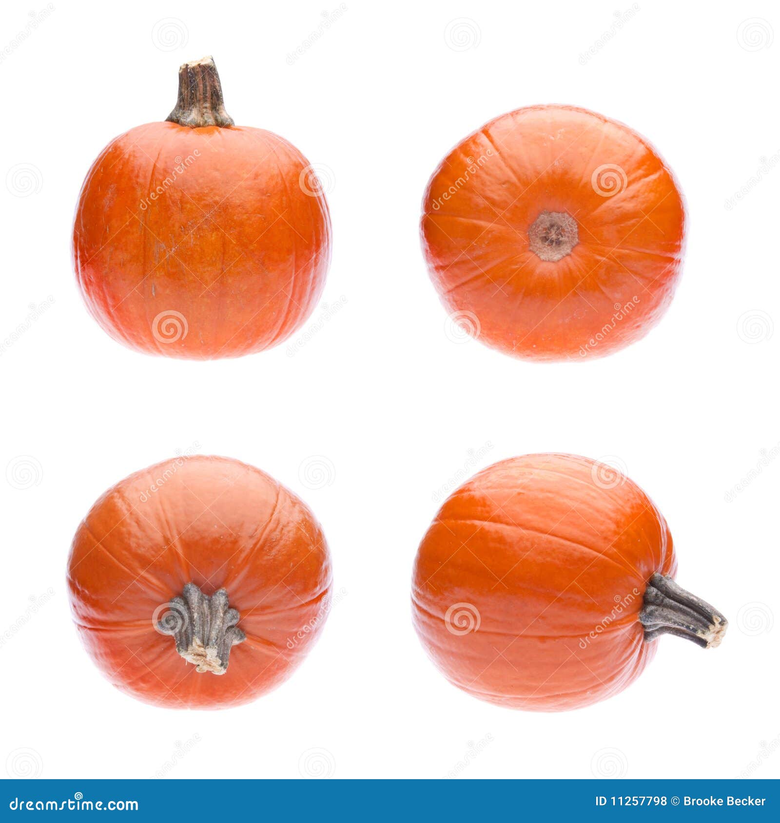 4 Views of a Pumpkin stock photo. Image of side, isolated - 11257798