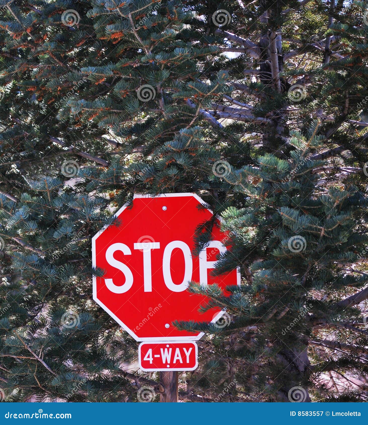 4-Way Stop Sign stock image. Image of highway, road, green - 8583557