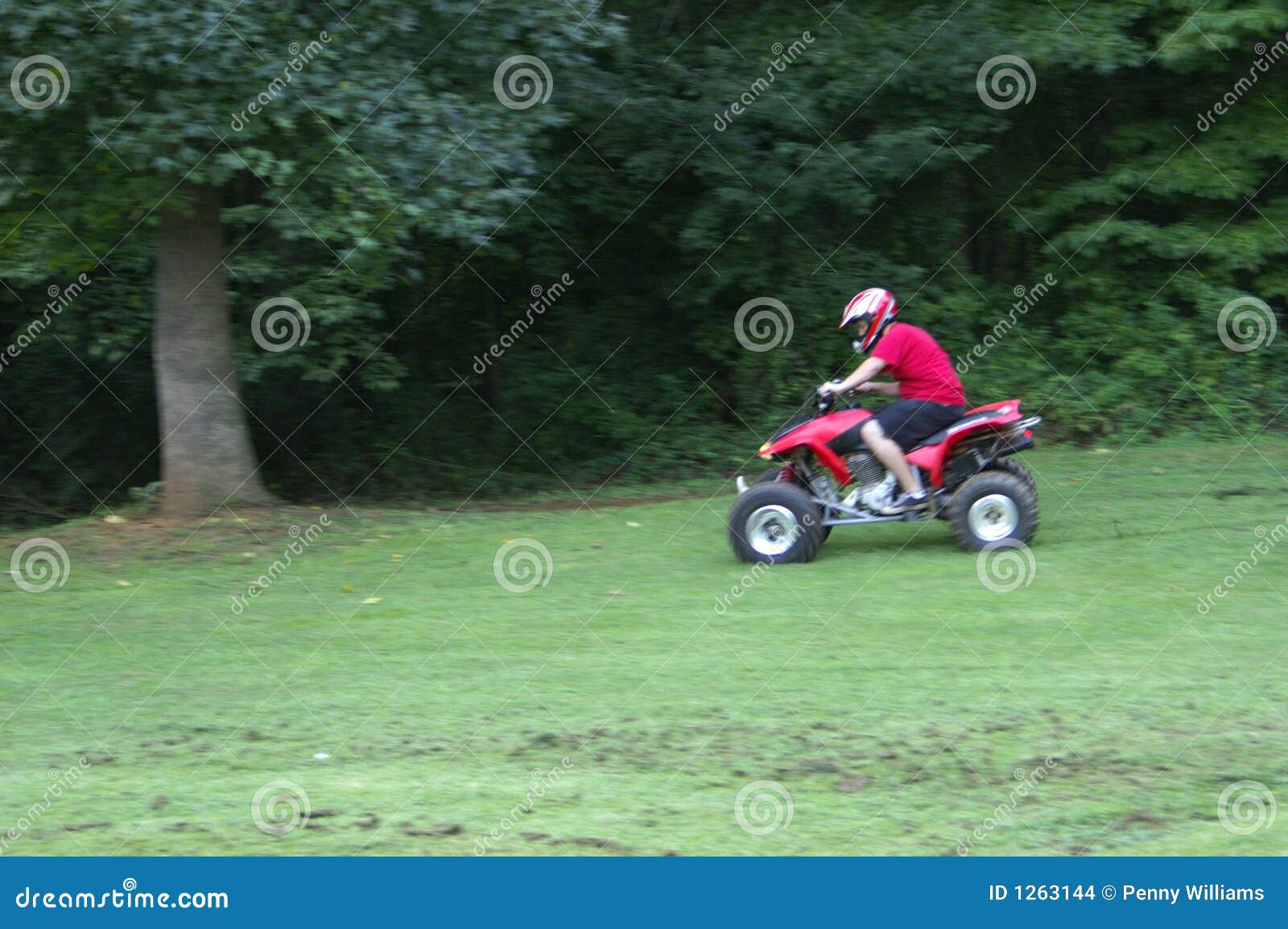 4-wheeling stock photo. Image of terrian, wheeler, speed - 1263144