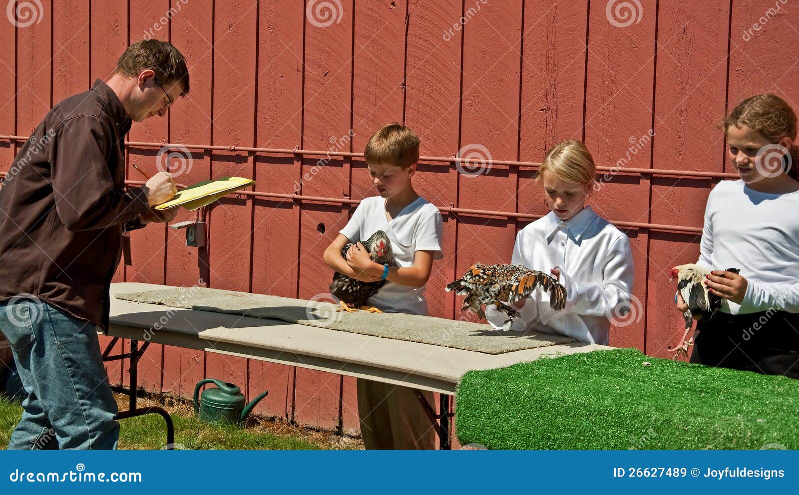 4H Kids Chicken Judging at County Fa Editorial Stock Image - Image of ...