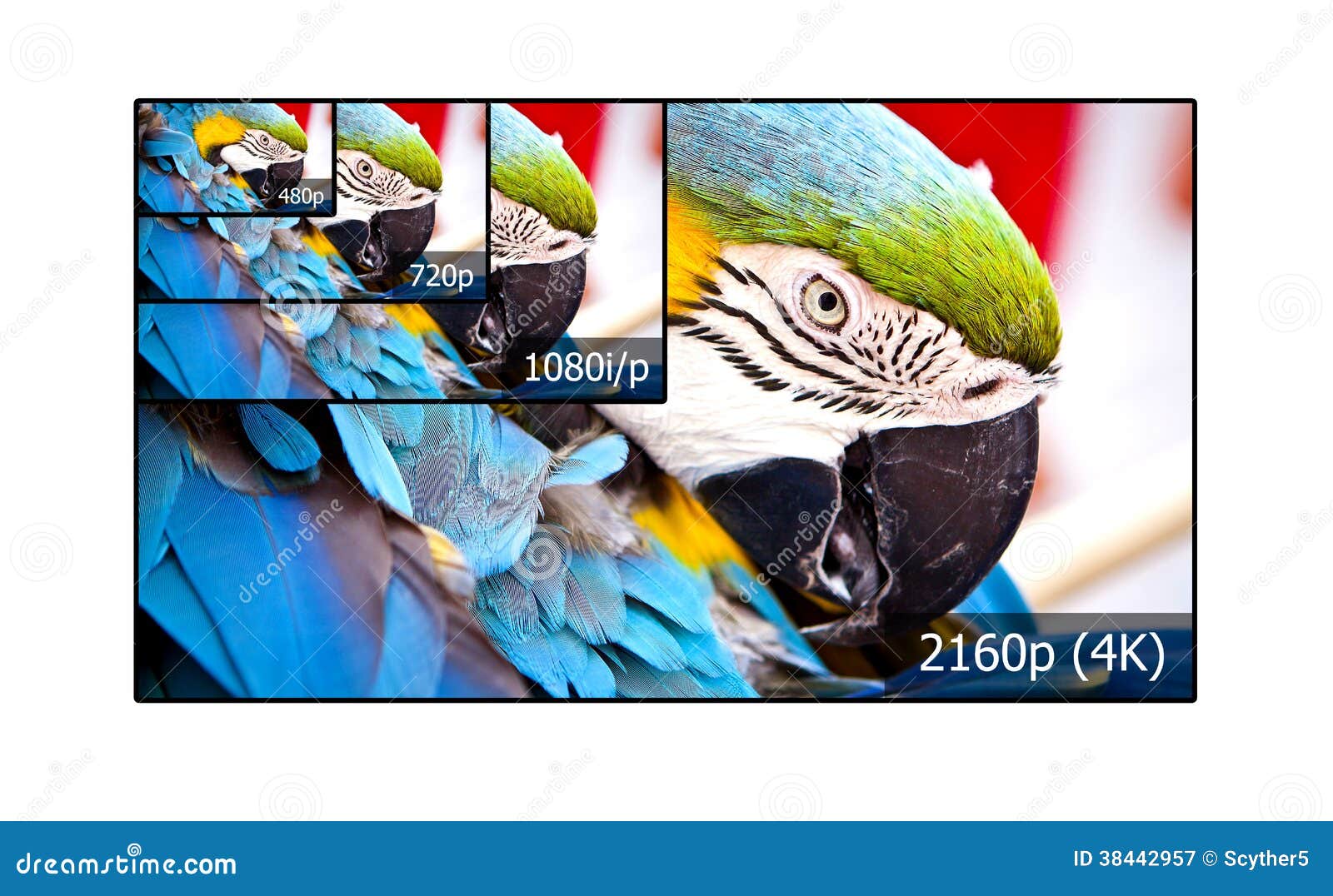4K Television Display With Comparison Of Resolutions. Ultra HD On On ...