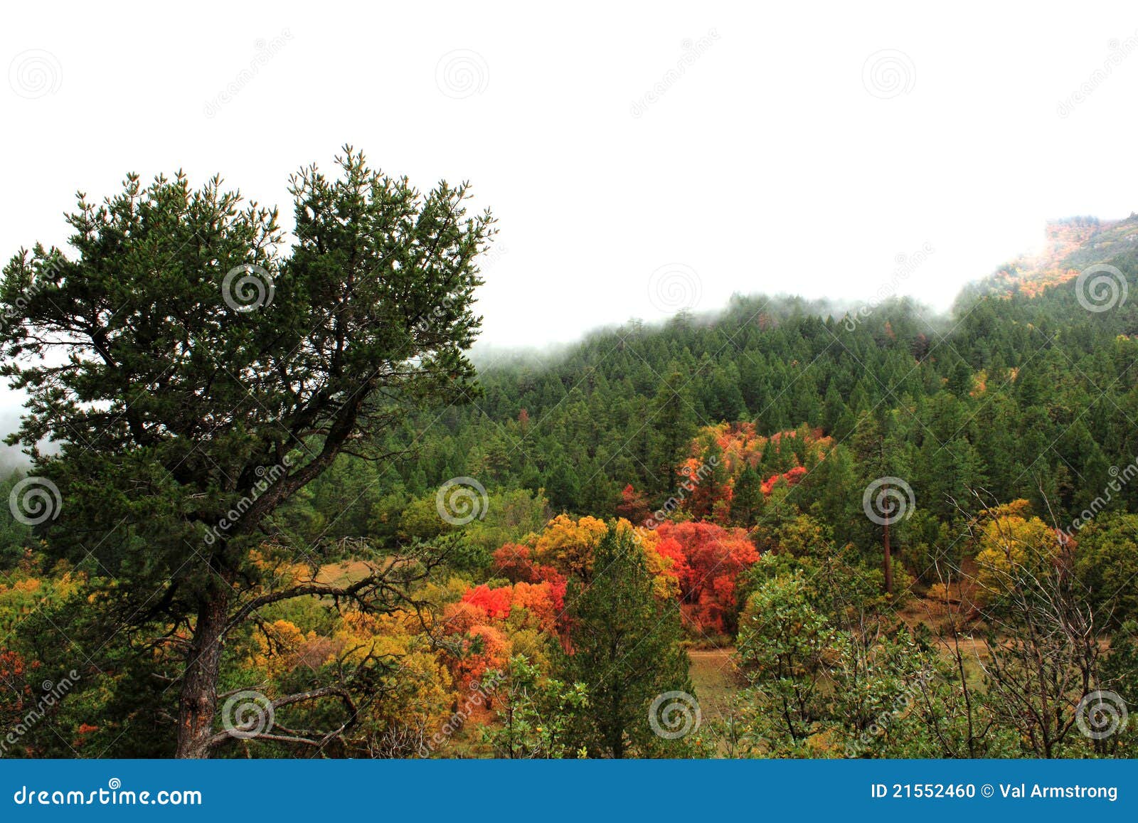 4th of July Canyon in Autumn Stock Photo - Image of orange, picturesque ...