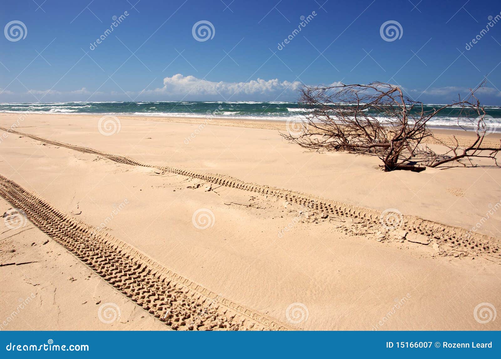 4WD Tracks on Beach stock image. Image of recreation - 15166007