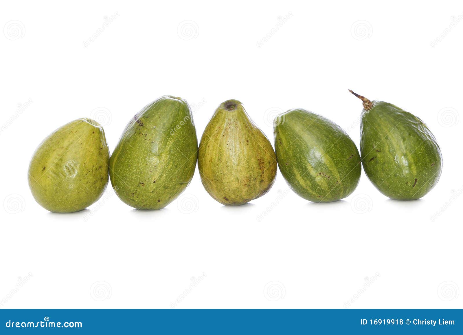 5 avocados in line stock photo. Image of close, nutritious - 16919918