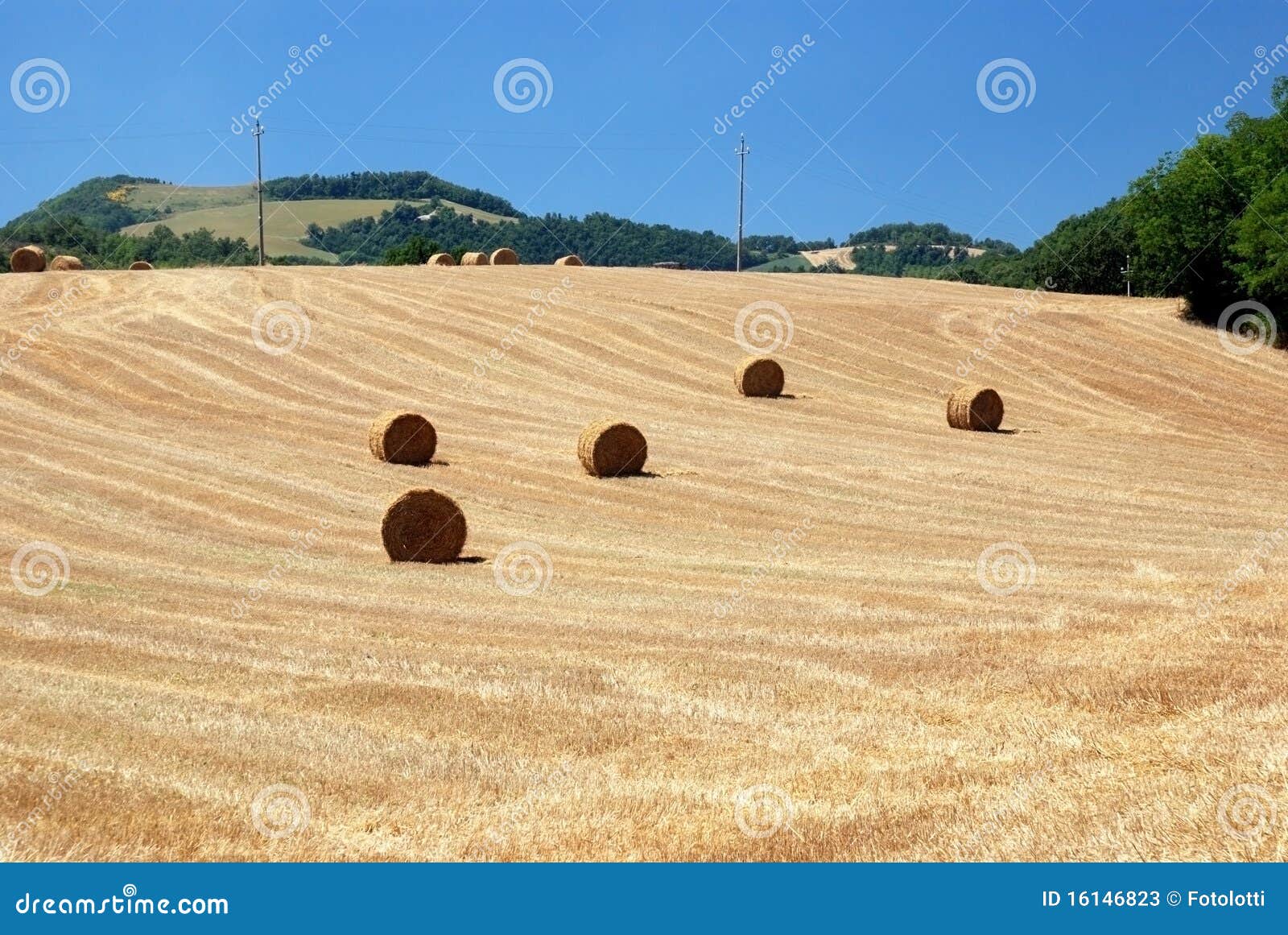 5 bales of hay stock image. Image of grain, harvest, cool - 16146823