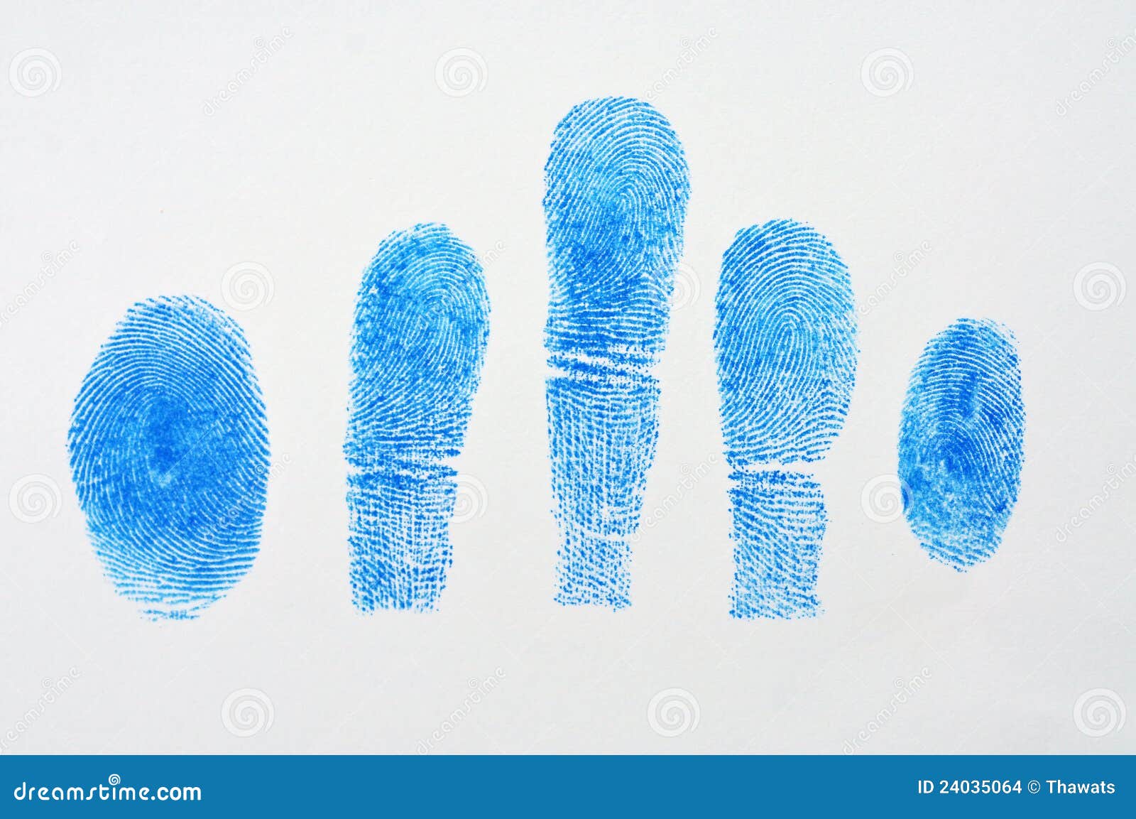 Blue Fingerprint Identification Symbol Isolated On White Royalty-Free ...
