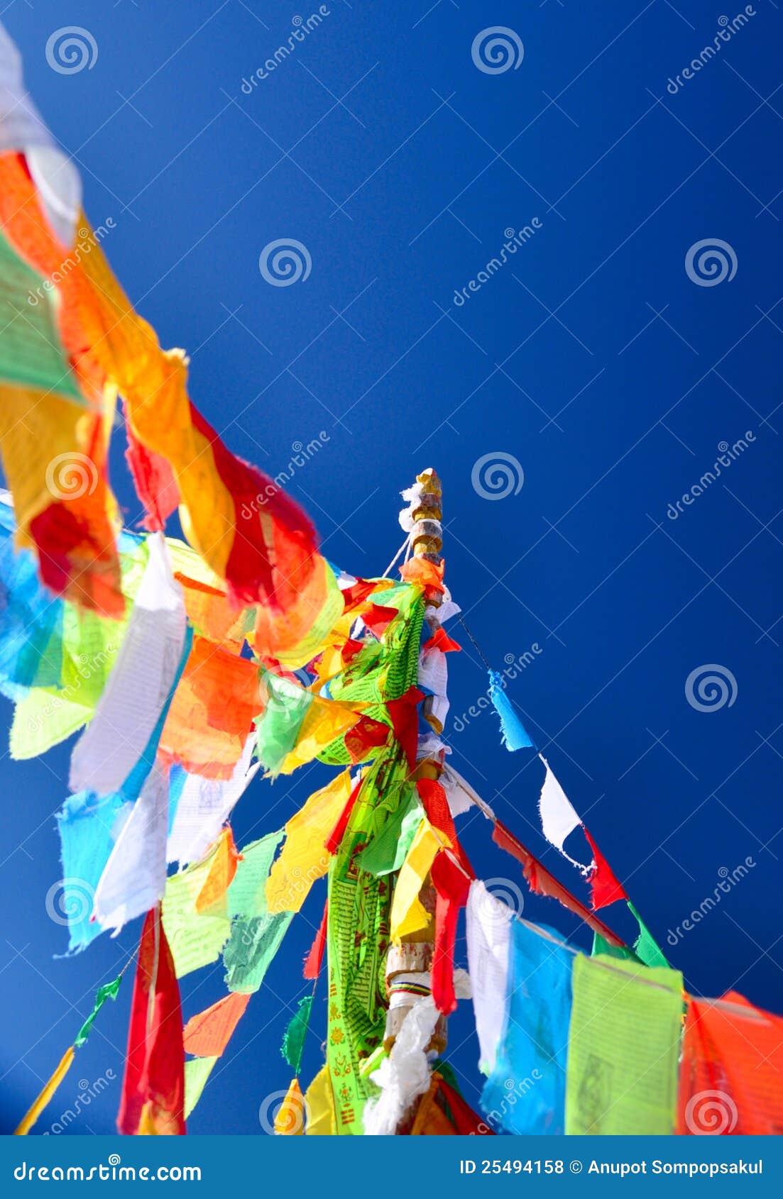 5 color flag stock photo. Image of faith, green, sunny - 25494158