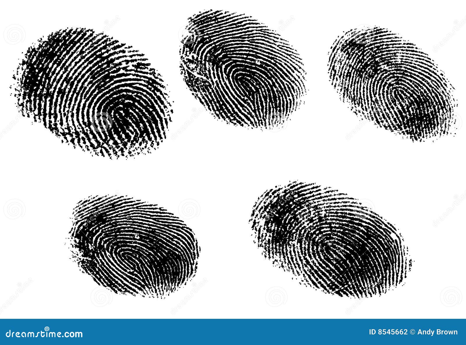5 fingerprints stock vector. Image of fingerprint, finger - 8545662