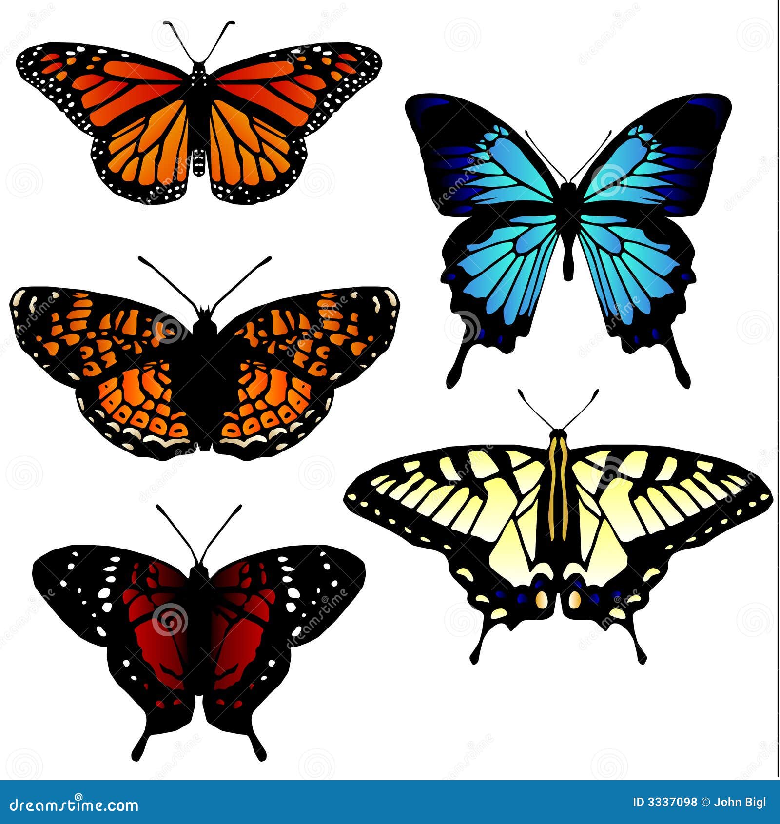 5 Ilustraciones De La Mariposa Ilustración del Vector - Ilustración de ...